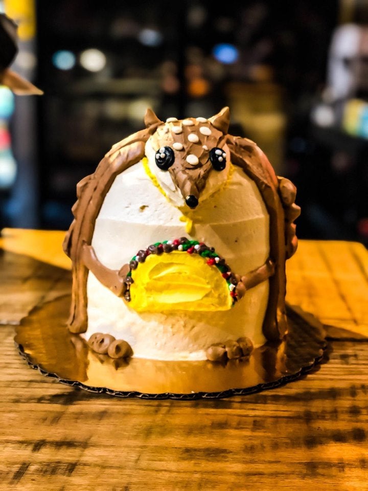 Armani Armadillo Cutie Cake | Tamara's the Cake Guru
